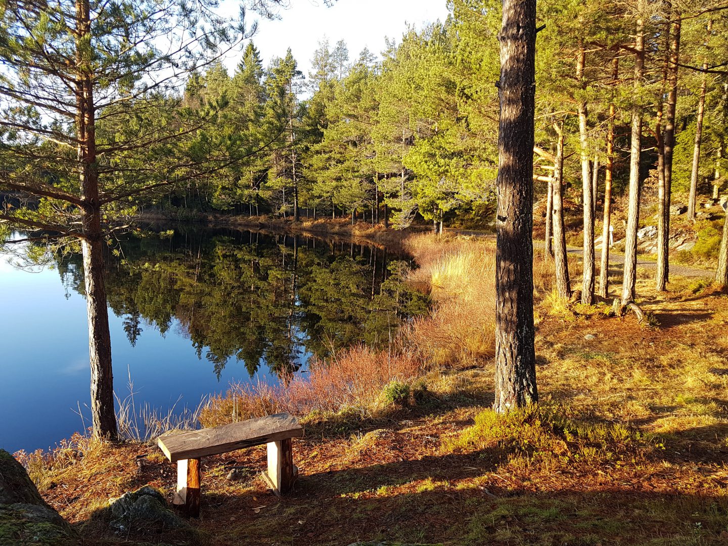 Tur-orientering / Stifinner’n – IK Grane Arendal Orientering